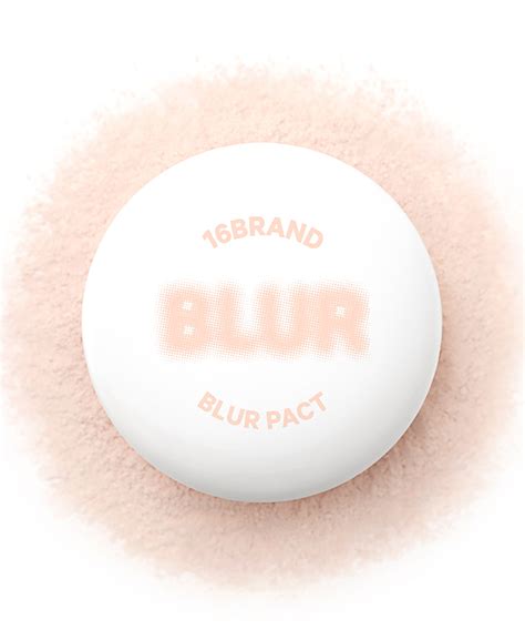 [16브랜드] 블러 파우더 팩트 에이블리