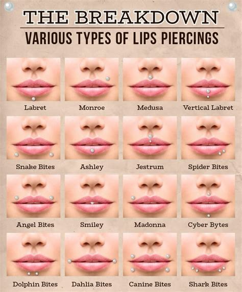 Lip Piercing Diagram