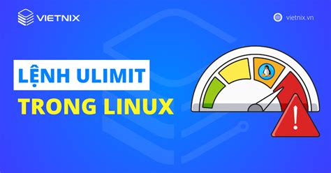 Bash Là Gì 3 Thao Tác Thực Hiện Bash Trên Linux Cơ Bản Nhất