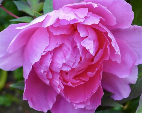 奥井智之 Tomoyuki Okui Twilog ツイログ