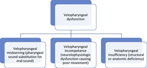 Diagnosis And Management Of Velopharyngeal Dysfunction Oral And
