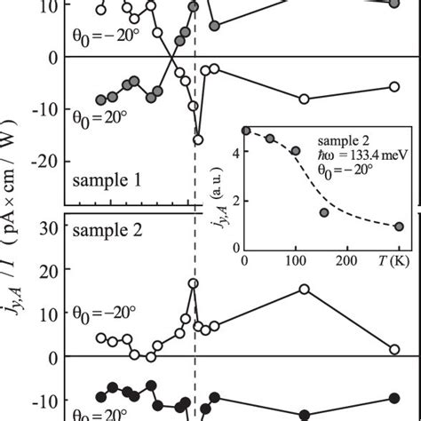 Schematic Illustration Of The Possible Contributions To The Photon Drag