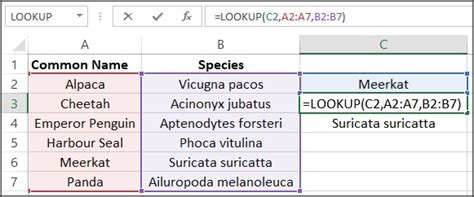 Excels Lookup Functions And Approximate Matching Windsong Training