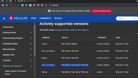 How To Solve Runtime Error In Angular With Node Version
