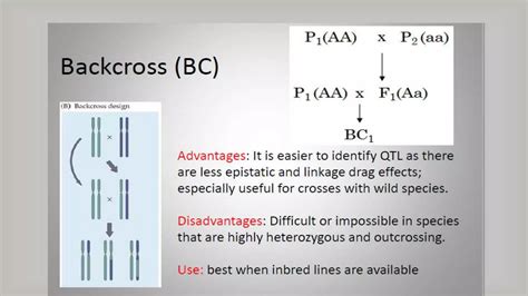 Qtl Mapping For Crop Improvement Pptx