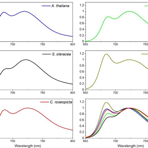 Overview Of Time Resolved Fluorescence Spectra λmax And Lifetimes A