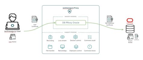about oracle wallet