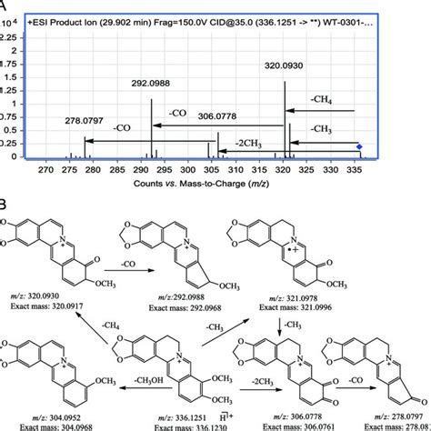 Ms Ms Spectrum And Fragmentation Pathway Of Protopine Download Scientific Diagram