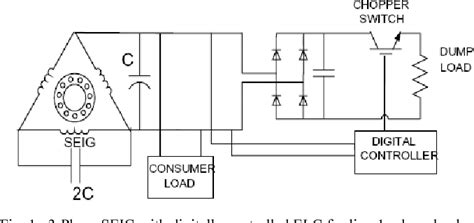 Figure 1 From Performance Analysis Of A Self Excited Induction Generator With Digitally