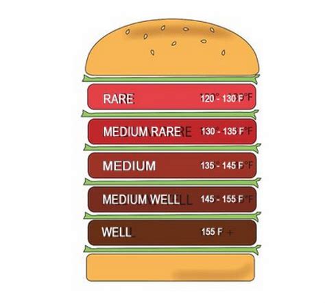 Burger Patty Temperature At Ella Dierking Blog