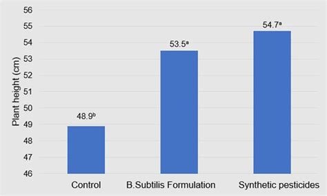 Effect Of B Subtilis Formulation Application On Plant Height At 28 Download Scientific Diagram