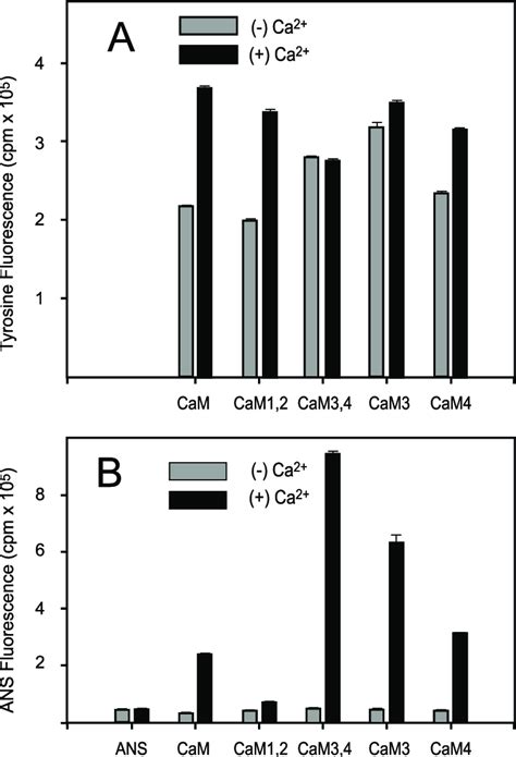 Calcium Binding Mutations Alter Intrinsic Tyr Fluorescence And 1 8 Ans