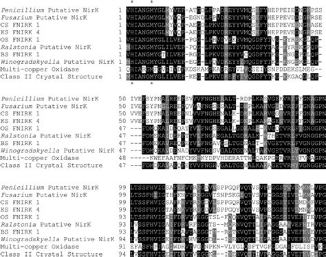 Protein Sequence Alignment Using ClustalW And Sequences Obtained Using Download Scientific