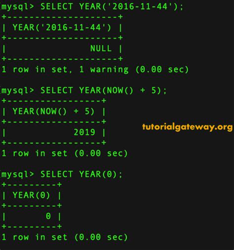 Mysql Year Function