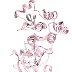 Kaggle Solutions