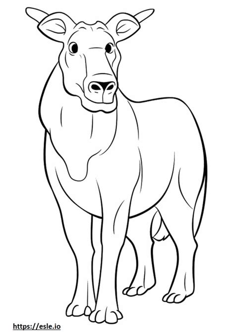 Bongo Coloring Pages Free Printable