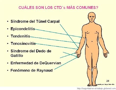 Ergonomiavanegas Conceptos Basicos Sobre Ergonomia
