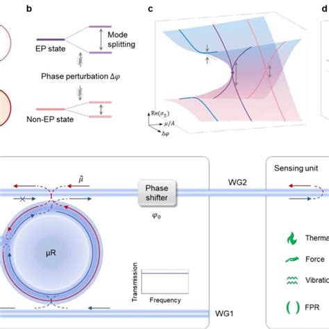 Pdf Exceptional Point Enhanced Phase Sensing