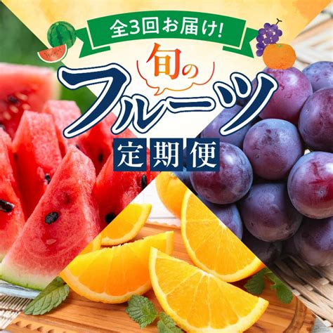 G60 T65 【定期便 全3回】紀州和歌山産旬のフルーツ定期便（スイカ、バレンシア、巨峰） 和歌山県湯浅町 おいしいをふるさと納税で「ふるさと本舗」