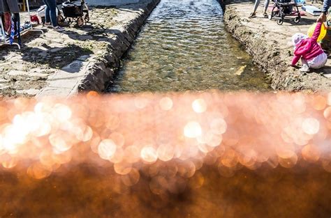 Sofia Rivers Festival Inspires Green Action Culture