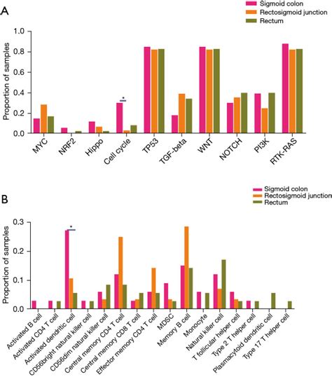 Comprehension Of Rectosigmoid Junction Cancer Molecular Features By Comparison To The Rectum Or