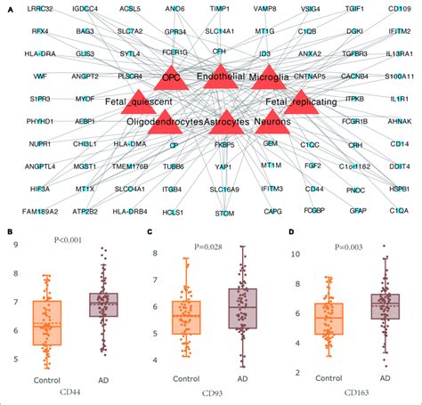 Cell Type Expression Of Degs And Differential Expression Of Hub Genes