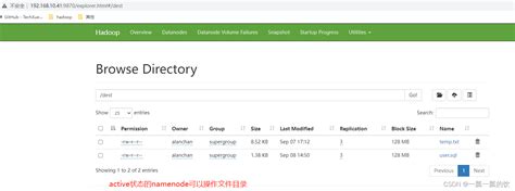 9、hadoop高可用ha集群部署及三种方式验证hadoop集群验证步骤包括 Csdn博客