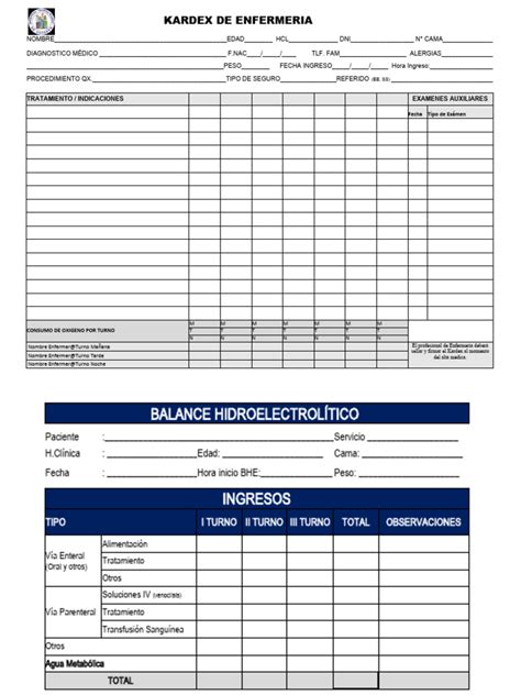 Kardex De Enfermería Formato Y Ejemplo Pdf Ciencias De La Salud