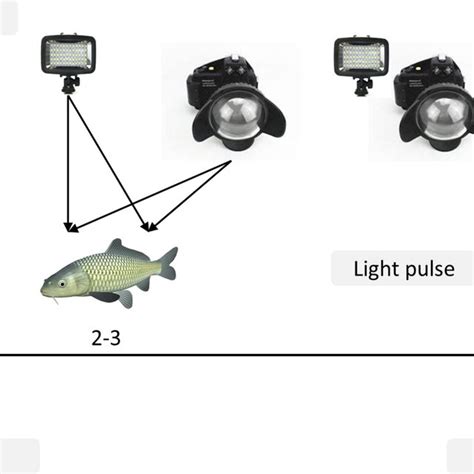 The Accordance Between Camera Light Separation More Exotic Imaging