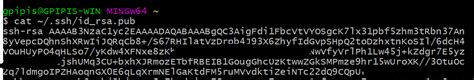 How To Add An SSH Key To GitHub Predictive Hacks