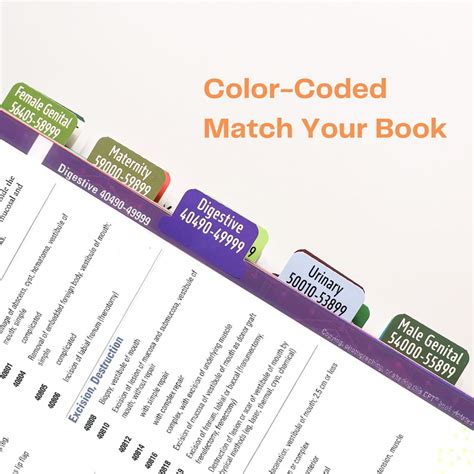 Index Tabs For Cpt 2024 Professional Edition Laminated And Color Coded