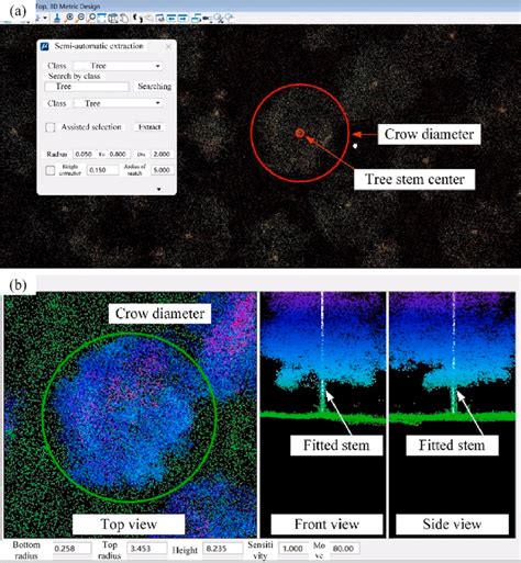 manual labeling of the tree parameters using tls point clouds a