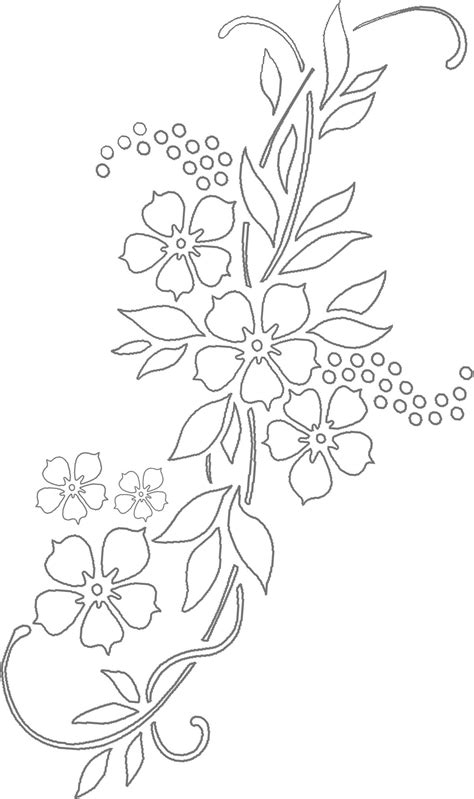 best 13 cartouche nature floral scroll design background stock vector