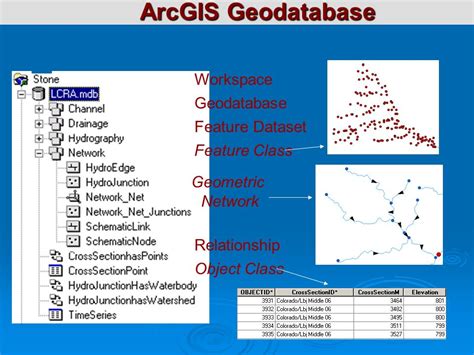 Introduction In Arcgis There Are Three Basic Data Structures Ppt Video Online Download Introduction In Arcgis There Are Three Basic Data Structures Ppt Video Online Download
