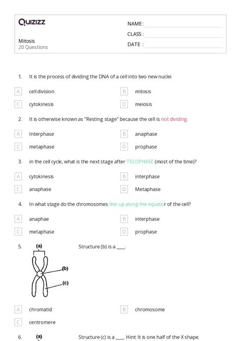 The Cell Cycle And Mitosis Worksheets For Th Grade On Quizizz Free Printable