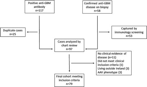 Spatial And Temporal Clustering Of Anti Glomerular Basement Clinical Journal Of The