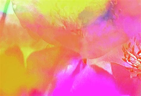 Vibrant Floral Abstract Digital Art By Amy Hong Zhao Fine Art America