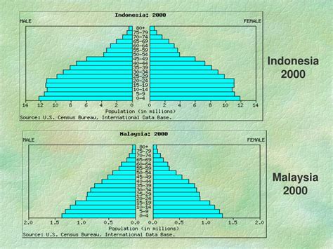Ppt Population Pyramids Powerpoint Presentation Free Download Id