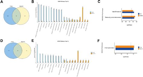 Combined Analysis Of Metabolomics And Proteomics A The Venn Diagram Download Scientific