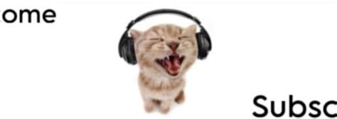 Meme Banners And Covers For Discord Instagram And Tiktok