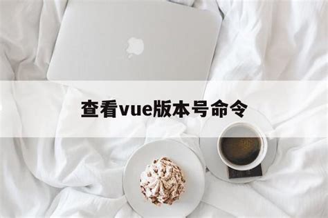 查看vue版本号命令查询vuecli版本 杂七乱八 源码村资源网