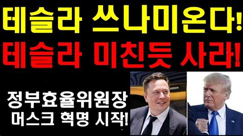 테슬라 쓰나미가 온다 미친듯이 테슬라 사라 머스크 정부효율위원장 공식임명 트럼프는 머스크에게 4가지를 요청했다 머스크발