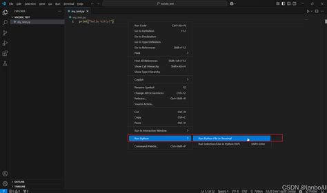 保姆级的vscodeanaconda搭建python虚拟环境vscode配置anaconda的python环境 Csdn博客