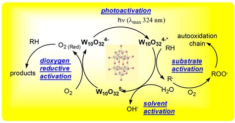Photocatalytic Membranes In Photocatalytic Membrane Reactors