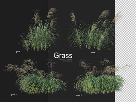 Premium PSD Various Types Of Grass Rendering