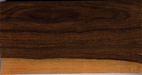 Lignum Vitae Caribbean Hardwood And Evergreen Britannica