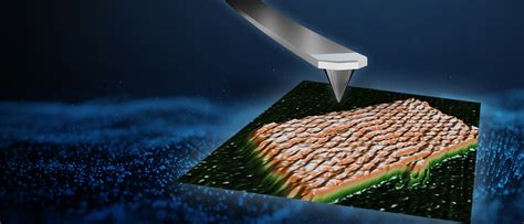 High Speed Afm In Life Science Applications Bruker