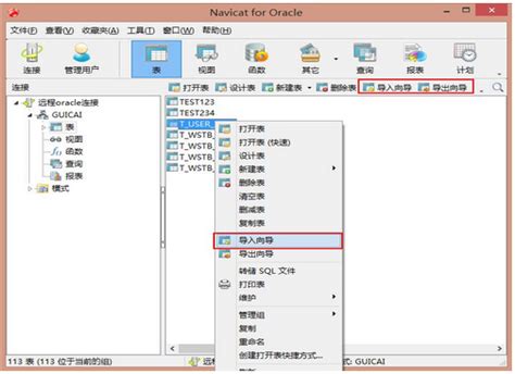 Navicat for Oracle 怎么用 Navicat中文网站