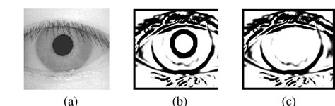 Stopping Function For The Geodesic Active Contours A Example Iris