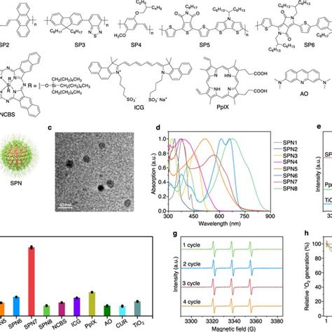 Screening Of Spns For Sonodynamic Therapy A Chemical Structures Of Sps
